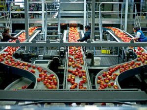 Planeación de la Producción en la Industria de Alimentos | Preactor | OVS