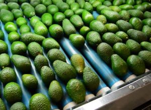 Planeación de la Producción en la Industria de Alimentos | Preactor | OVS